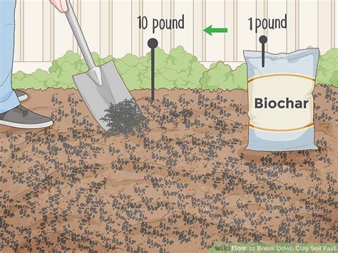 3 Easy Ways To Break Down Clay Soil Fast WikiHow