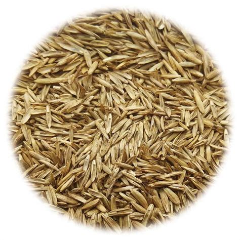 Grass Seed For Field And Pasture 30 Kg