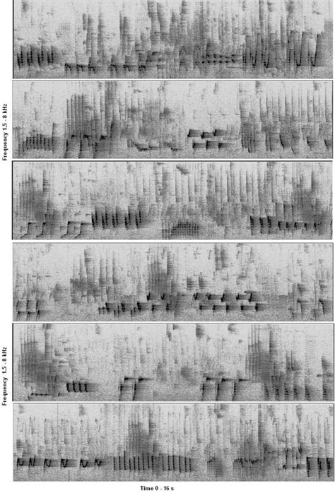Spectrogram Showing Six Parts Taken At Random From A Song Thrush Song Download Scientific