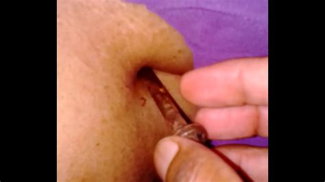 Navel Poke Xnxx Com