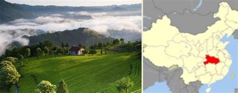 Чайные провинции Китая