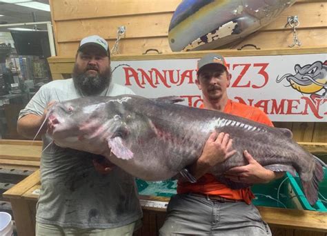 Nc State Freshwater Fish