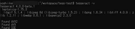 Pythonで書くTesseract 4の基本的な使い方APIとCLIからOCRを実行する方法 Valmore