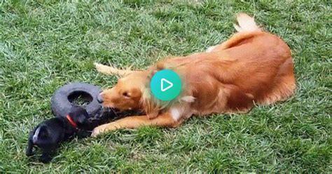 Hey Thats Cheating On Imgur Hey Thats Cheating On Imgur