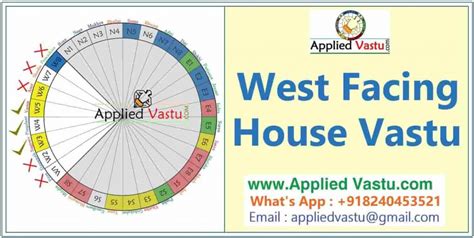 Where To Place Bamboo Plant In House As Per Vastu Housiey