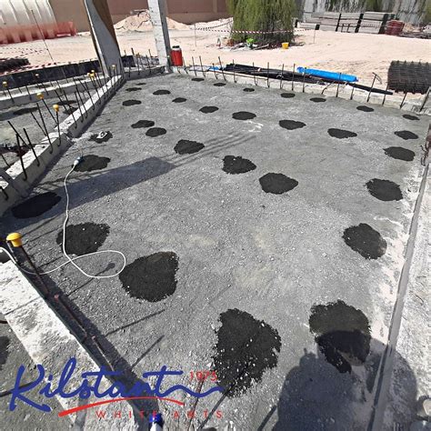 What You Need To Know About White Ants Or Advance Termite System For