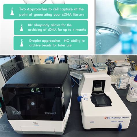 Jason Holzman Msc On Linkedin Singlecell Transcriptomics Ngs