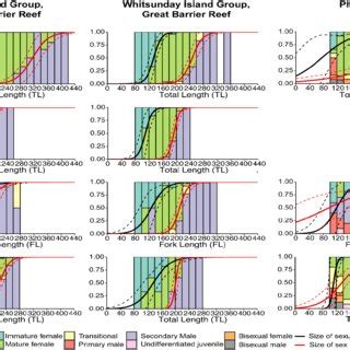 Proportional Frequency Distributions Of The Sex Specific Size Structure Download Scientific