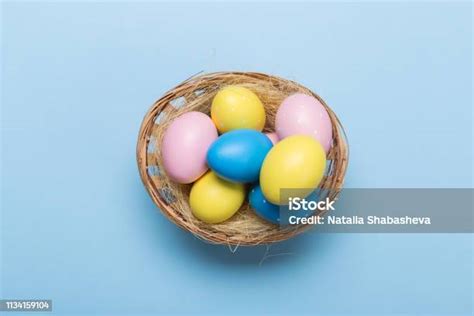 공간을 가진 파란 파스텔 색 배경에 둥지에서 Colorfull 부활절 달걀 0명에 대한 스톡 사진 및 기타 이미지 0명 4월 계절 Istock