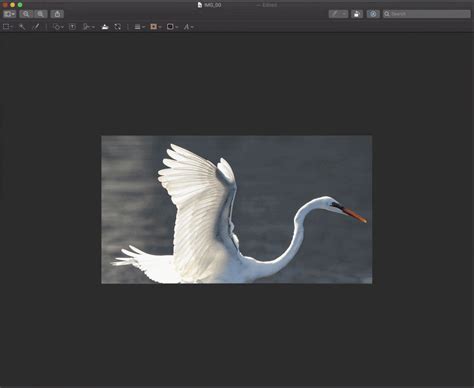 How To Crop A Screenshot On Mac TechCult