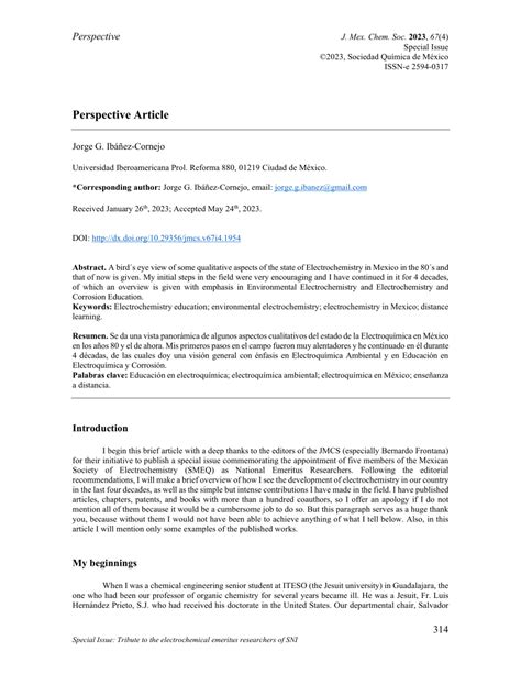 Pdf Perspective Article