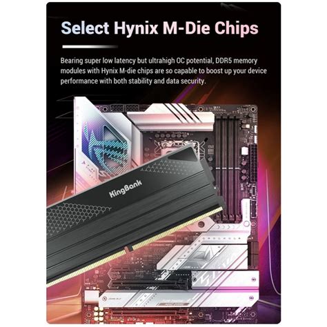 Jual Ram Pc Kingbank Dark 48gb Ddr5 24gbx2 6000mhz Black Heatsink Shopee Indonesia