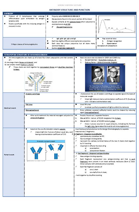 Antibody Structure And Function Seroim Lecture Midterm Seroim Midterm Lecture Antibody