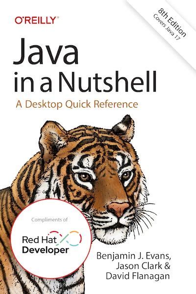 Programming Java Ju Rao