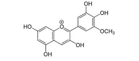 Molecular Structure Of Anthocyanin Download Scientific Diagram