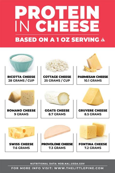 Cottage Cheese Protein Per 100g At Alan Schull Blog
