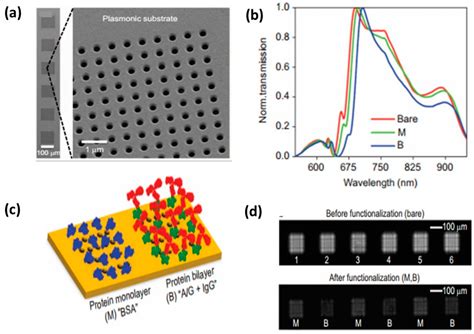 Localized Surface Plasmon Resonance Biosensing Current Challenges And