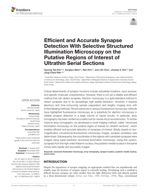 Pdf Efficient And Accurate Synapse Detection With Selective
