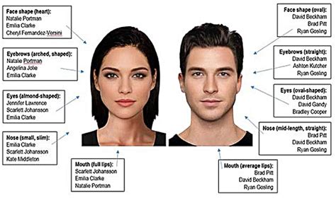 Sexual Selection Humans