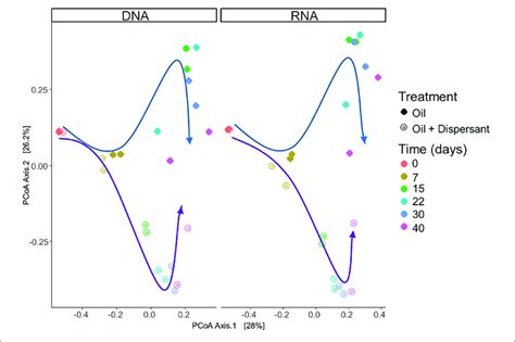 Comparison Of Microbial Community Composition With Incubation Time Download Scientific