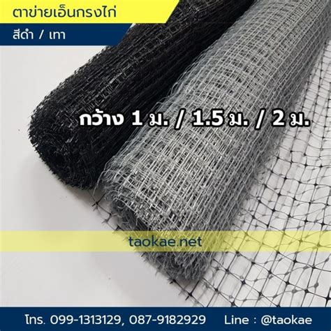 โปร ตาข่ายกันนก [ยกม้วน 30 เมตร] สีดำ สีเทา ตาข่ายเอ็นสำหรับกันนกพิราบ กรงล้อมเป็ด กรงล้อมไก่