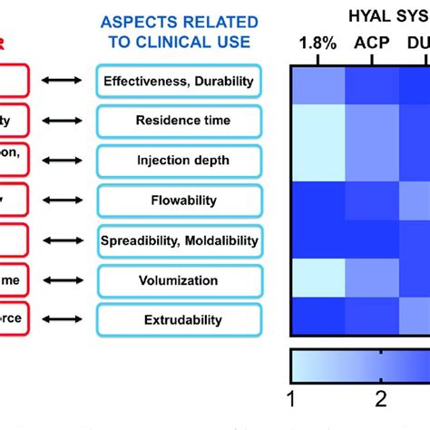 Schematic Representation Of The Correlation Between In Vitro Parameters Download Scientific