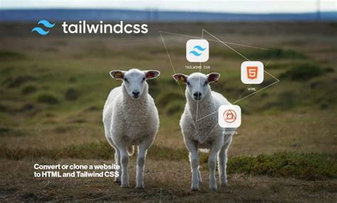 convert or clone a website to html and tailwind css by omnescodes fiverr
