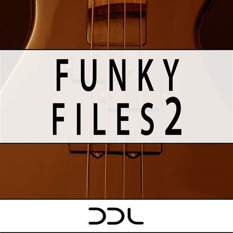 Download Deep Data Loops Funky Files 2