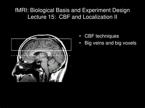 PPT FMRI Biological Basis And Experiment Design Lecture CBF And Localization II