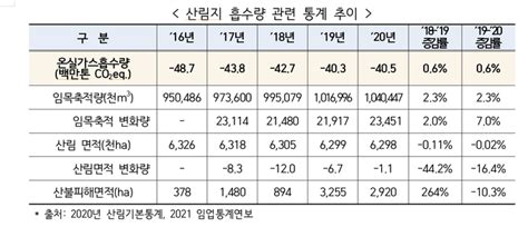 2020년 온실가스 배출량 전년比 6 4 ↓