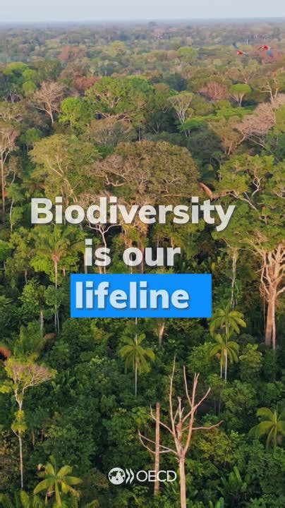 Oecd Development On Linkedin Cop16 Biodiversity And Development Finance
