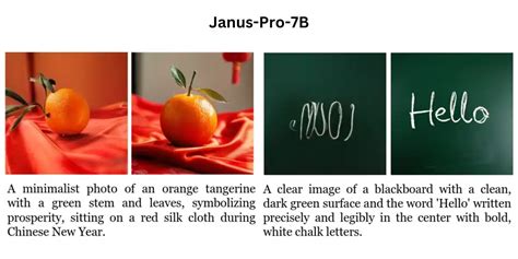 DeepSeek Janus Pro 7B How To Use It