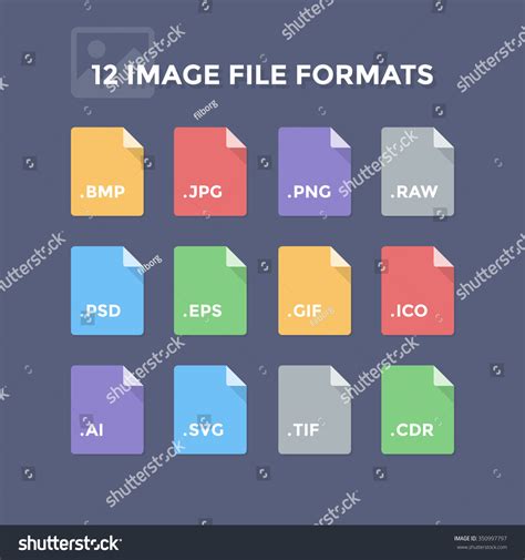 Image File Formats Photo Graphic File Stock Vector Royalty Free 350997797