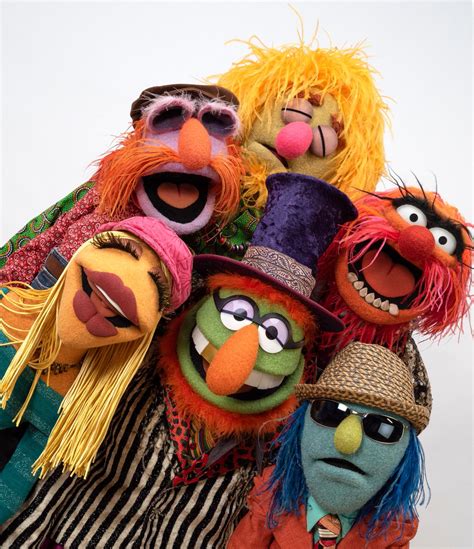 Dr Teeth And The Electric Mayhem Costume
