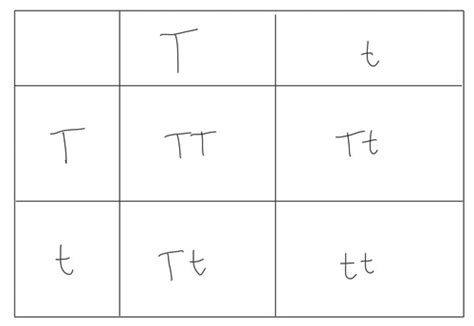 Biology Topic 3 Genetics Flashcards Quizlet