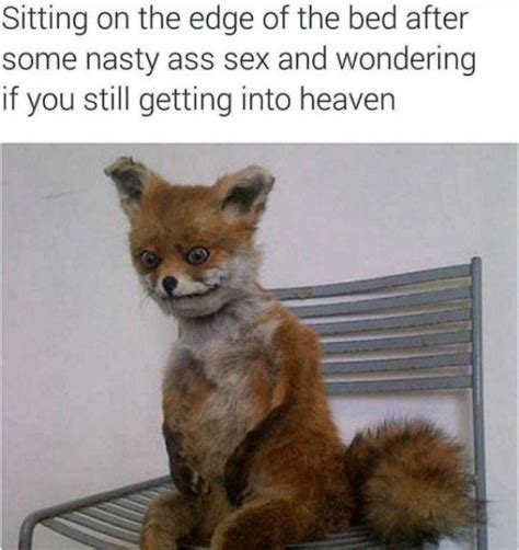 37 Sex Memes For Dirty Minds Ebaums World