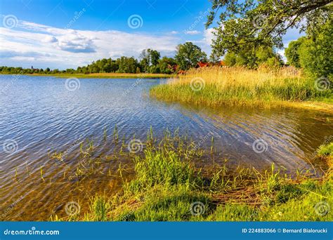 Jezioro Selmet Wielki Lake Paesaggio Con Canne E Boschi Al Villaggio Di
