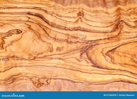 Olive Tree Wood Texture Stock Image Image Of Closeup 61356399