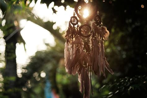 태양이 배경 Bokeh 자연에 설정에서 플레어 소프트 포커스 꿈 포 수 네이티브 아메리칸 드림 포 수입니다 Boho 세련 된 민족 부적 거미에 대한 스톡 사진 및 기타