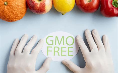 Gmo Testing National Laboratory And Research Center