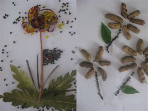 Assemblageand Drawingforgrade7 Pptx Drawing And Sketching Arts