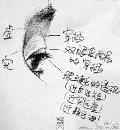 基础知识 花瓣网 陪你做生活的设计师 的重要性是不言而喻的作画时应把握好它的角度厚度深度以及细节的刻画 鼻子 展开全文c