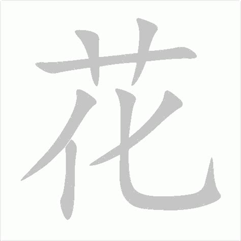 「花」的笔顺 花字笔顺笔画顺序怎么写