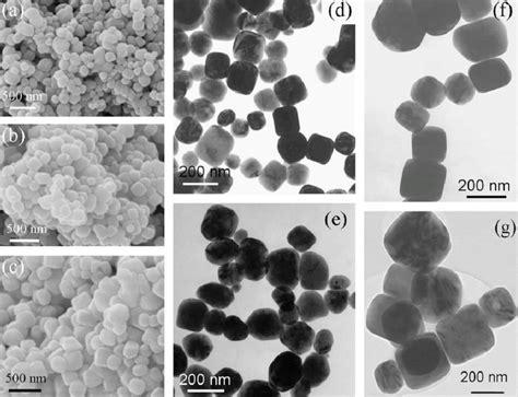 A C SEM Images Of Samples Ac D G TEM Images Of The Samples Ad Download Scientific