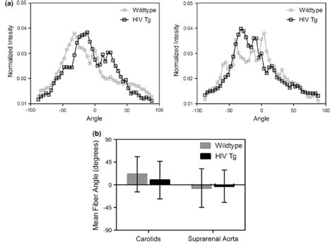 Collagen Fiber Orientation Is Not Different Between Groups The Download Scientific Diagram