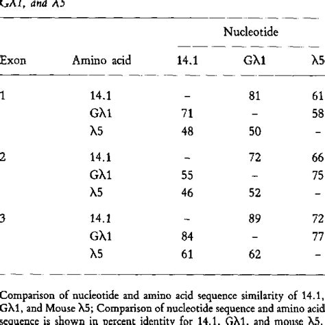 Figure 1 From Genomic Structure Of The Human Ig Lambda 1 Gene Suggests That It May Be Expressed