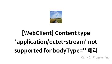 Webclient Content Type Applicationoctet Stream Not Supported For Bodytype 에러 Mysetting