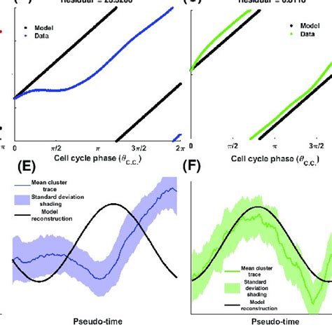 Bar Chart Summarising Cell Cycle Simulation Times For Each Parameter Download Scientific