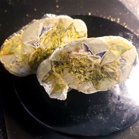 Thunder Egg Pair A Dan Hurd Prospecting