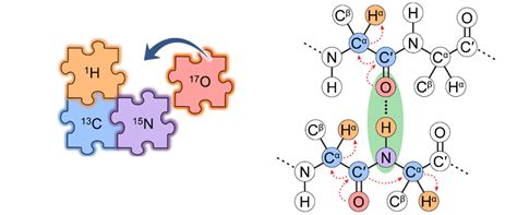 Nmr Science Highlights Maglab